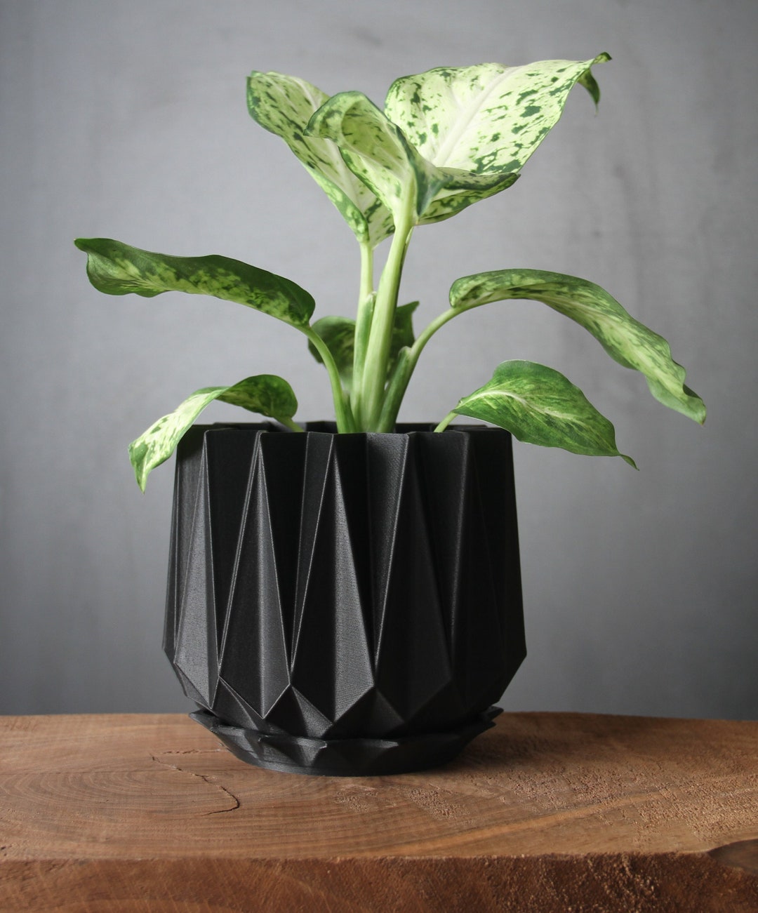 The Estrella Planter in Matte Black - Drainage Hole and Tray - Modern ...
