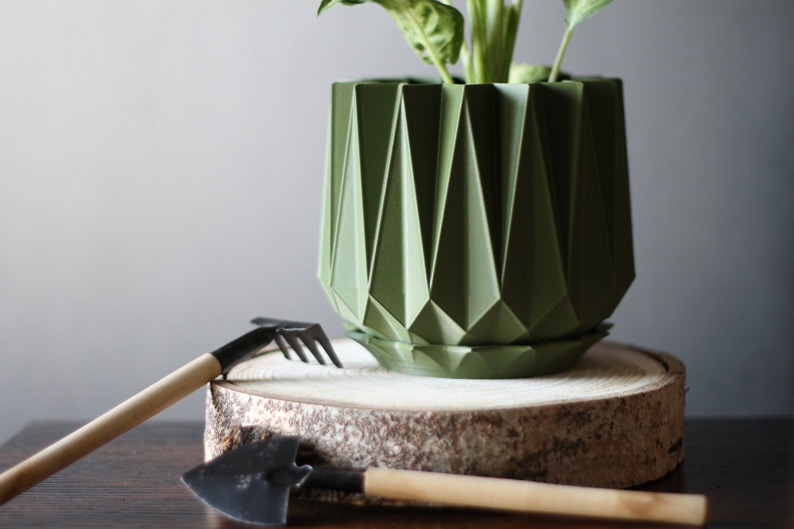 The Estrella Planter in Dark Green - Drainage Hole and Tray - Modern ...
