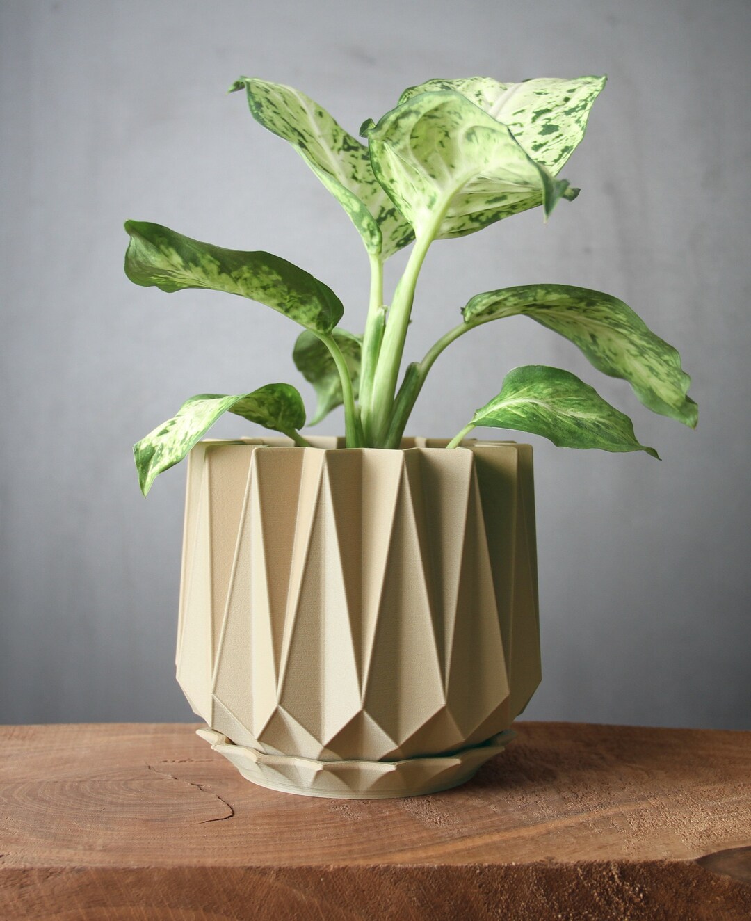 The Estrella Planter in Desert Tan - Drainage Hole and Tray - Modern ...