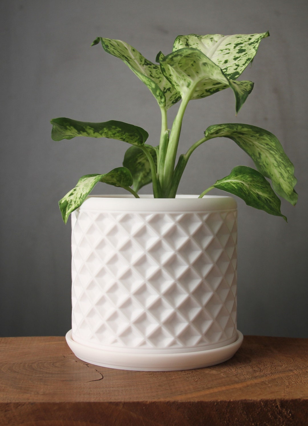 The Juniper Planter in White - Drainage Hole and Tray - Modern Indoor ...