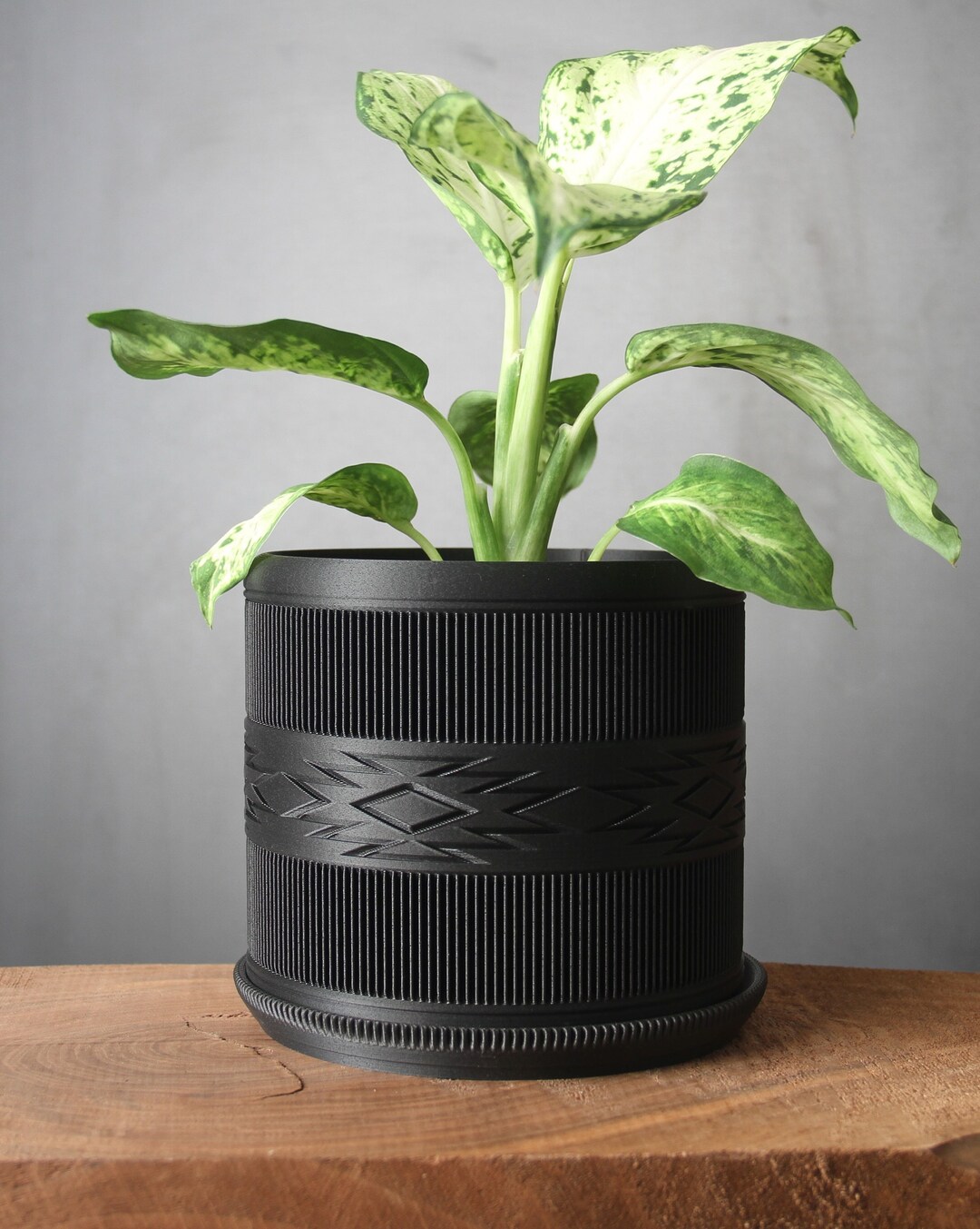 The Cholla Planter in Matte Black - Drainage Hole and Tray - Modern ...