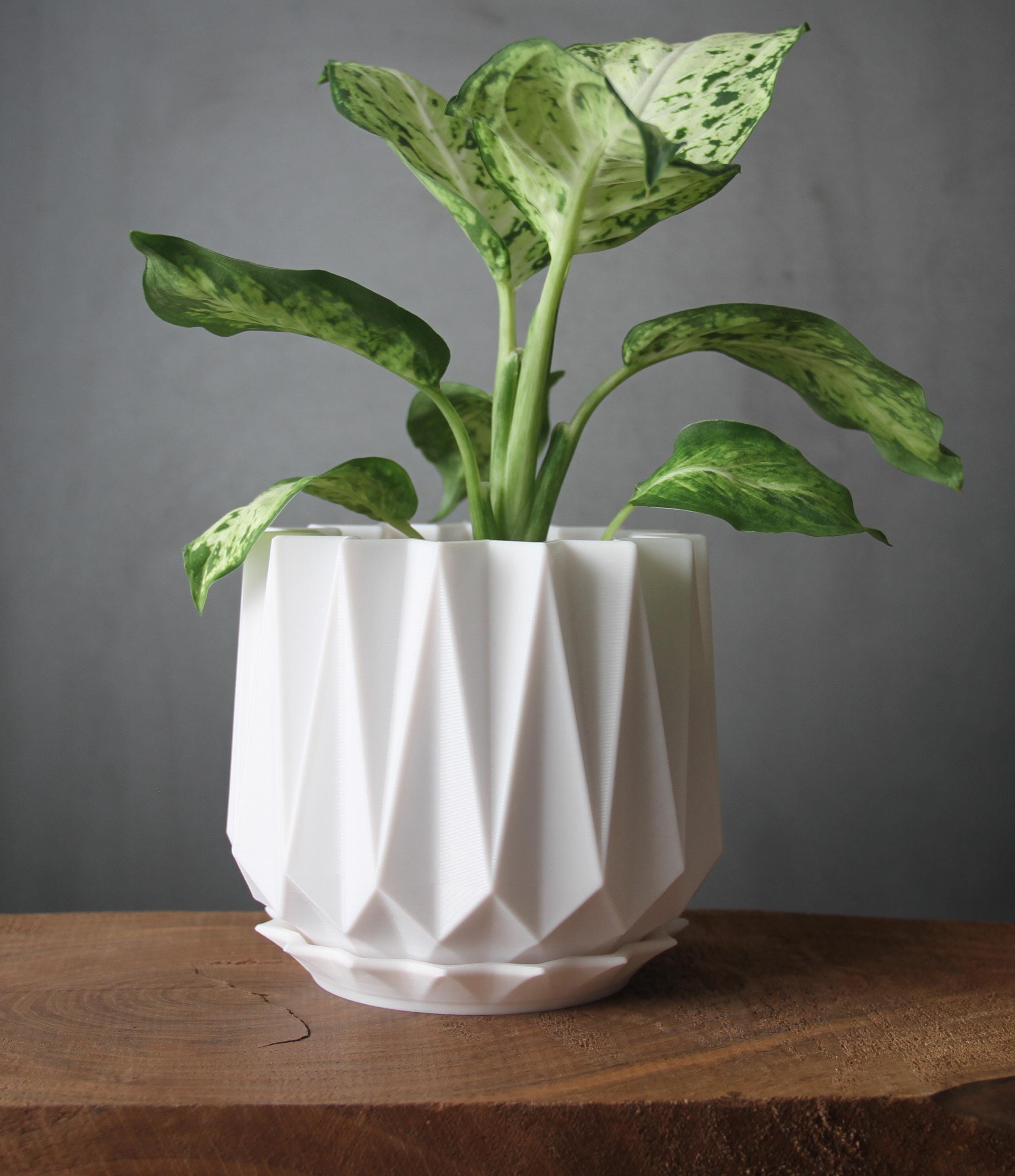 Clearance Sale! - the Estrella Planter - Drainage Hole and Tray ...
