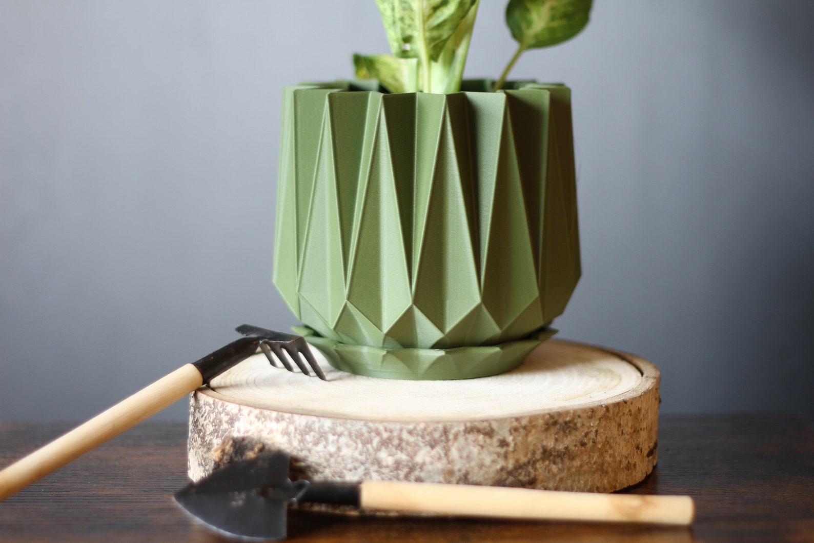 The Estrella Planter in Dark Green - Drainage Hole and Tray - Modern ...