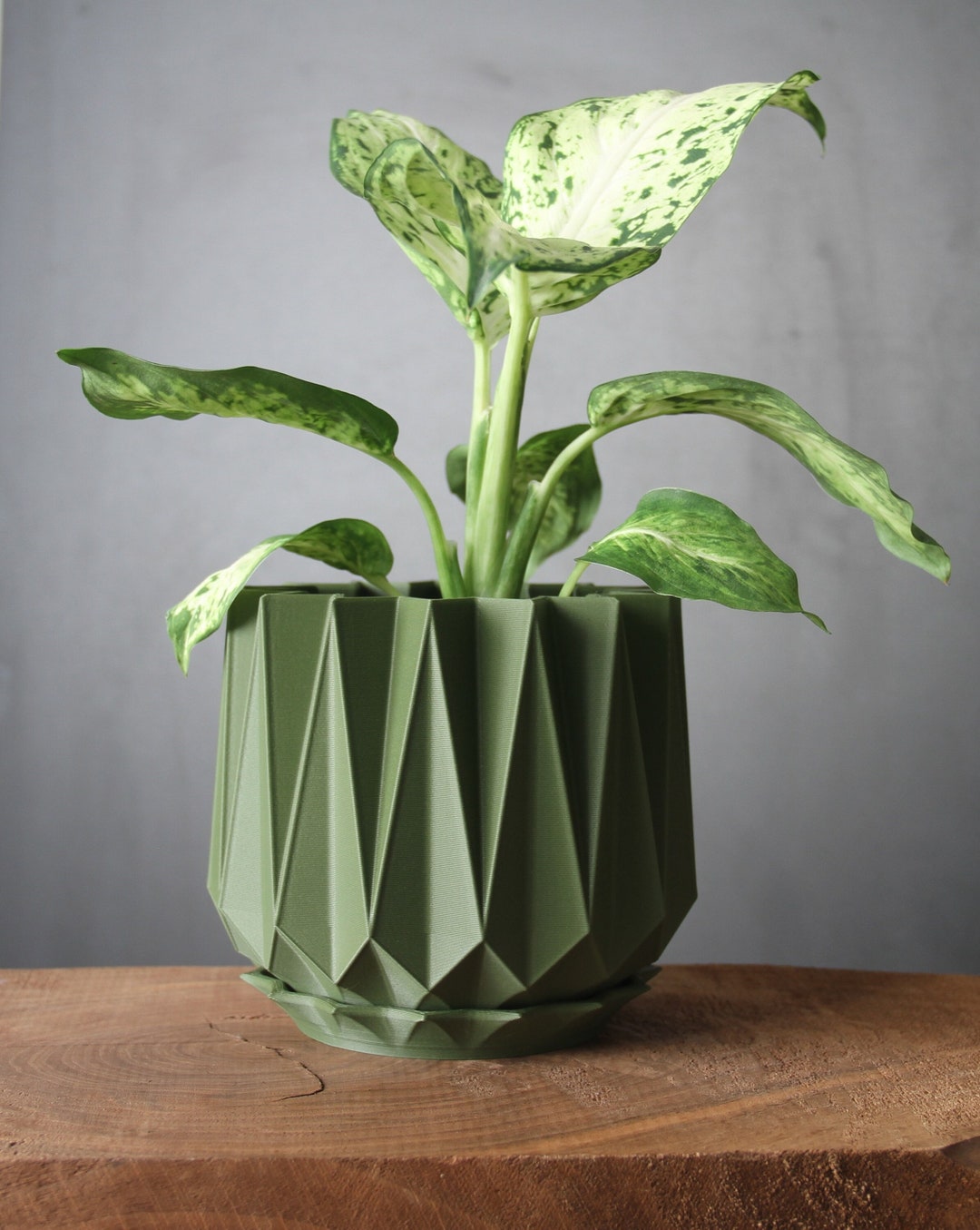 The Estrella Planter in Dark Green - Drainage Hole and Tray - Modern ...