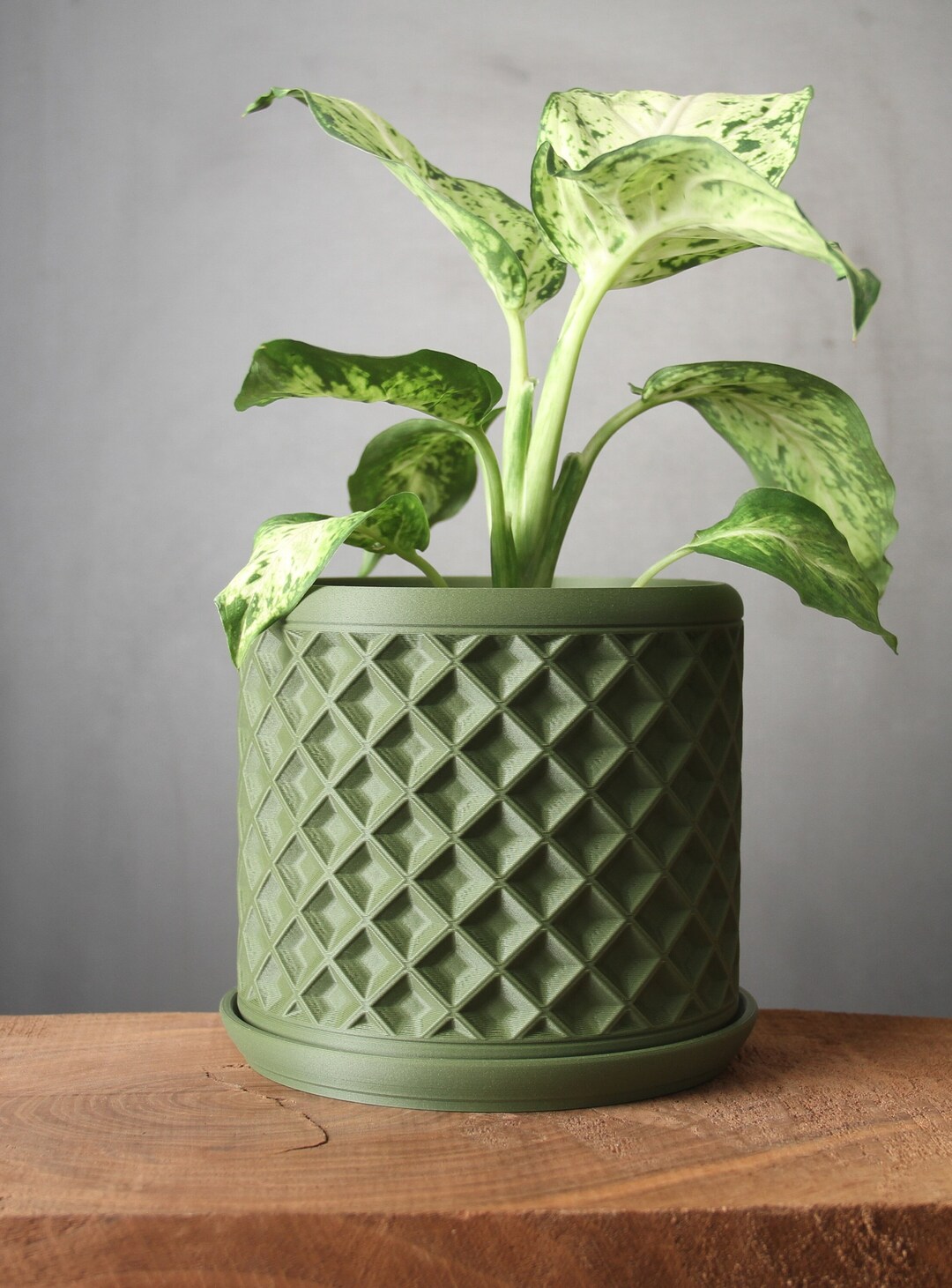 The Juniper Planter in Dark Green - Drainage Hole and Tray - Modern ...