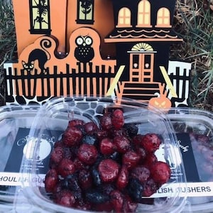 Ghoulish Gushers Vegan Gluten Free Justin Scarred Randomland Adventures ...