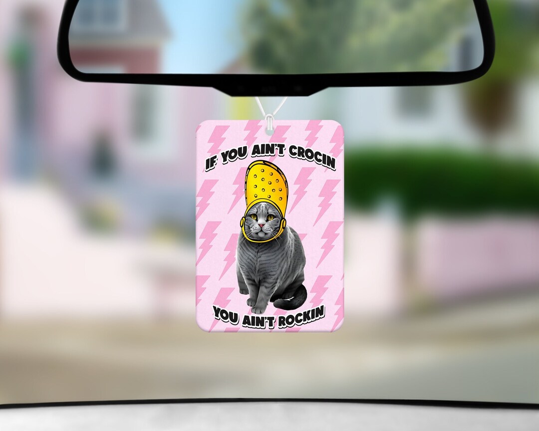 Cat With Croc, Funny Car Air Freshener, Croc Meme, Car Accessories ...