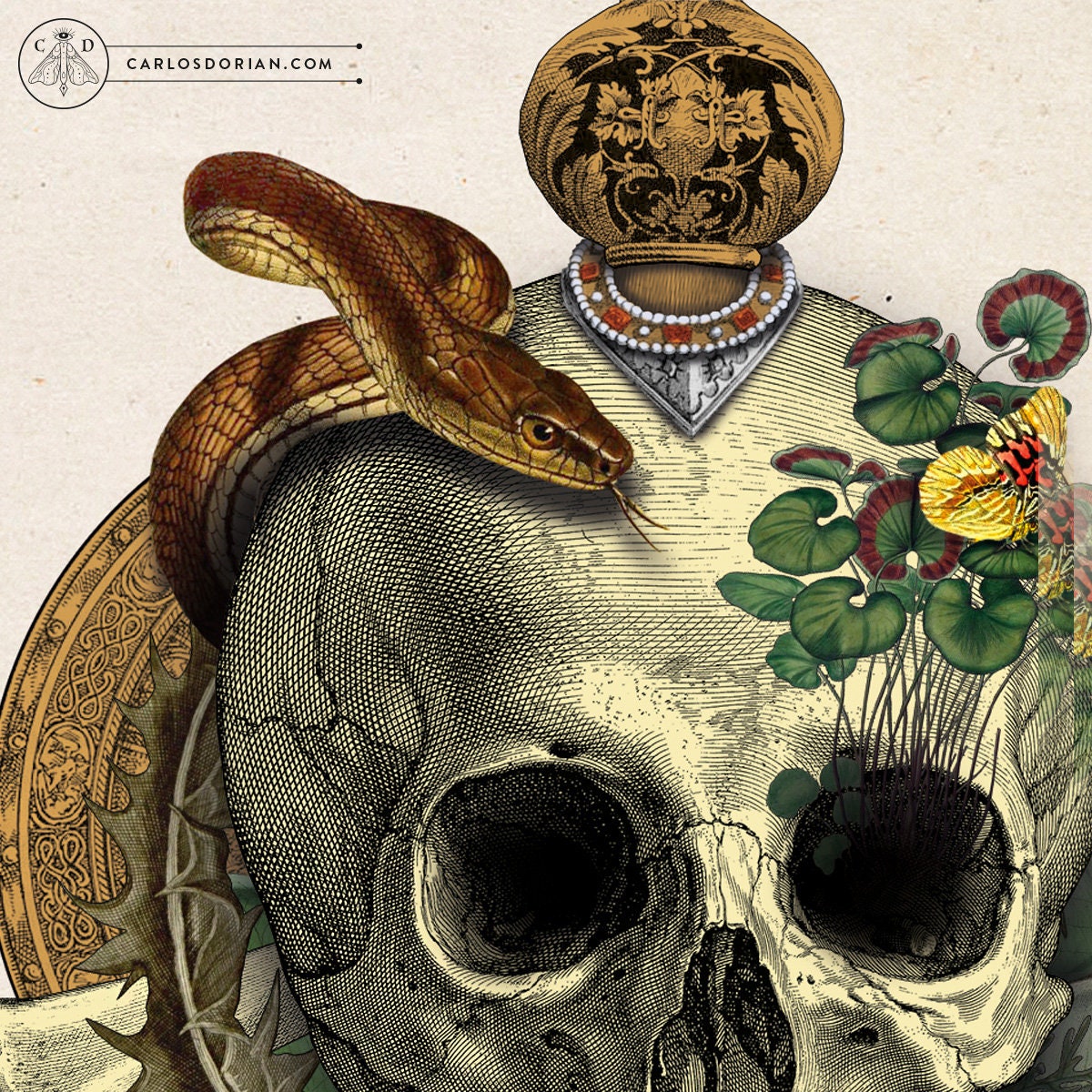 Collage vanitas, Giclée Fine Art Print - Etsy