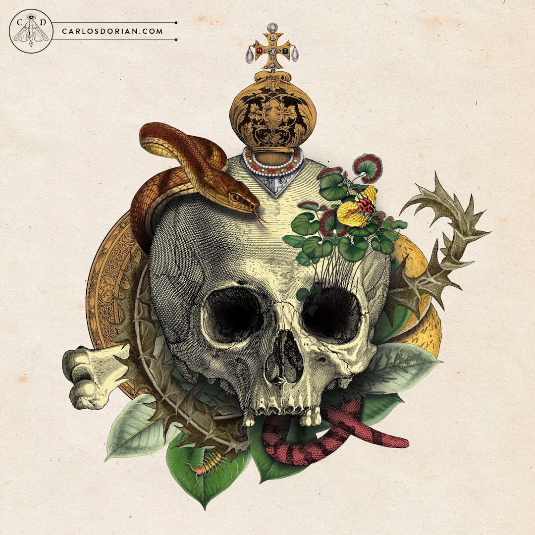 Collage "vanitas", Giclée Fine Art Print - Etsy