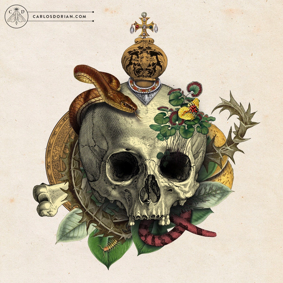 Collage vanitas, Giclée Fine Art Print - Etsy