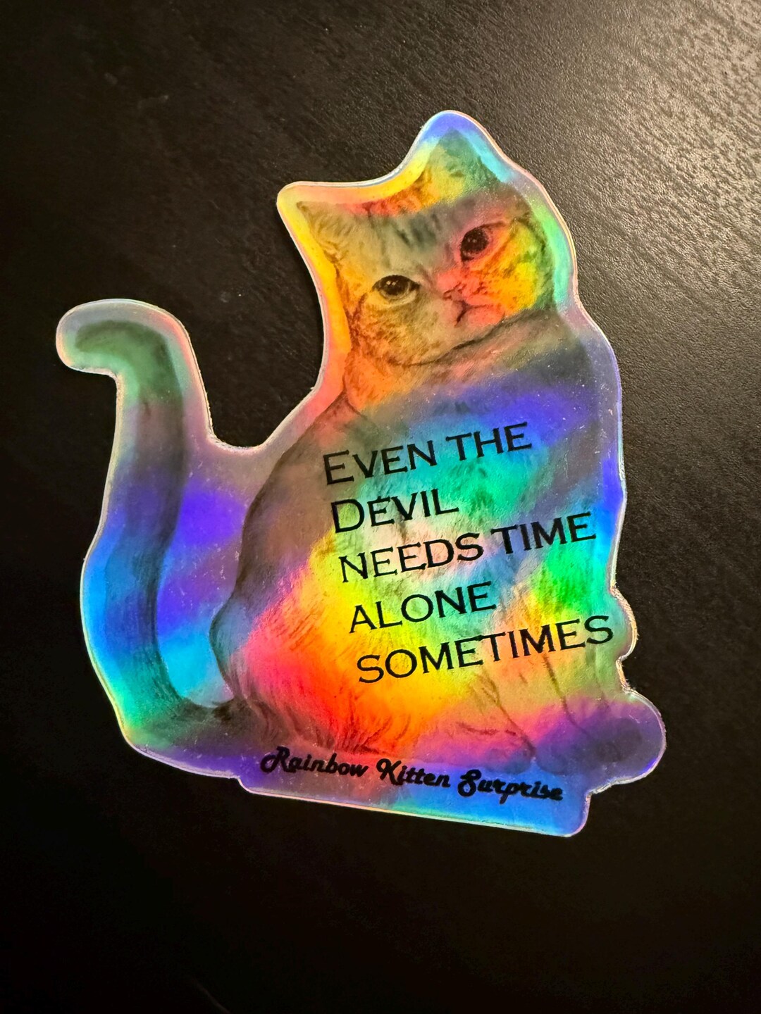 Devil Like Me Vinyl Sticker Lyrics Rainbow Kitten - Etsy