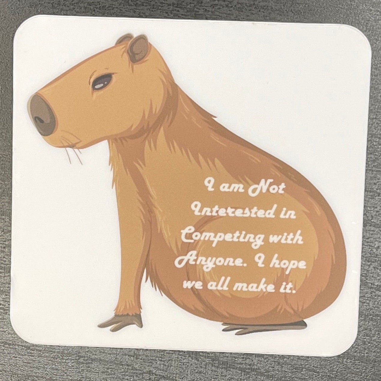 Capybara Peace, Healing Vinyl Sticker hope We All Make It - Etsy