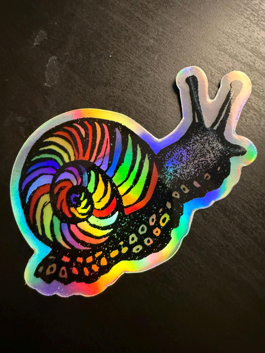 Vibrant Pride Flag Snail Vinyl Sticker - Etsy