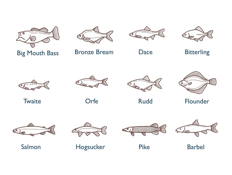 60 Fish Stamps for Procreate Fresh Water Fishing and Angler - Etsy