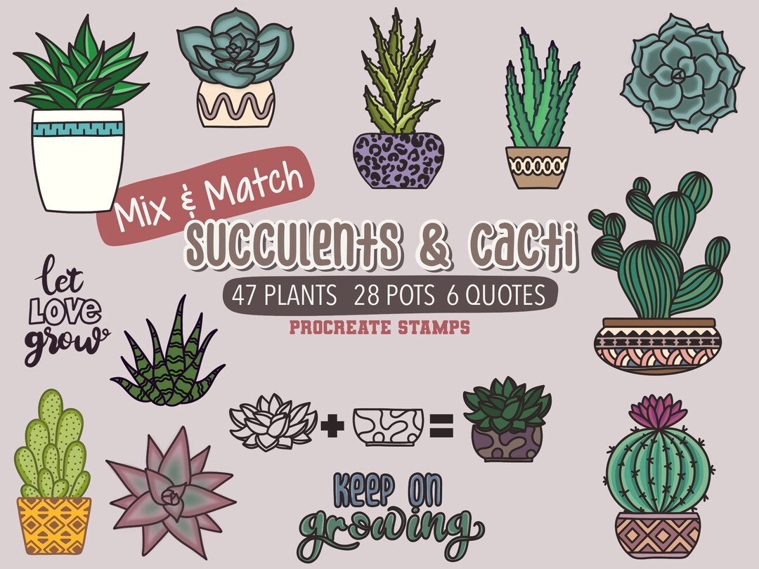 81 Succulent and Cacti Mix and Match Procreate Brushes, Commercial Free ...