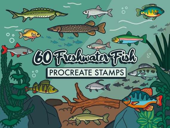 60 Fish Stamps for Procreate Fresh Water Fishing and Angler | Etsy