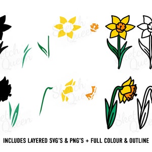 Daffodils SVG Set. Spring Flowers SVG. Cricut Cut Files, Layered Files ...