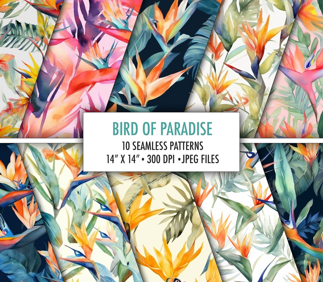 Bird of Paradise Watercolor Seamless Repeating Pattern Set, 10 Tropical ...
