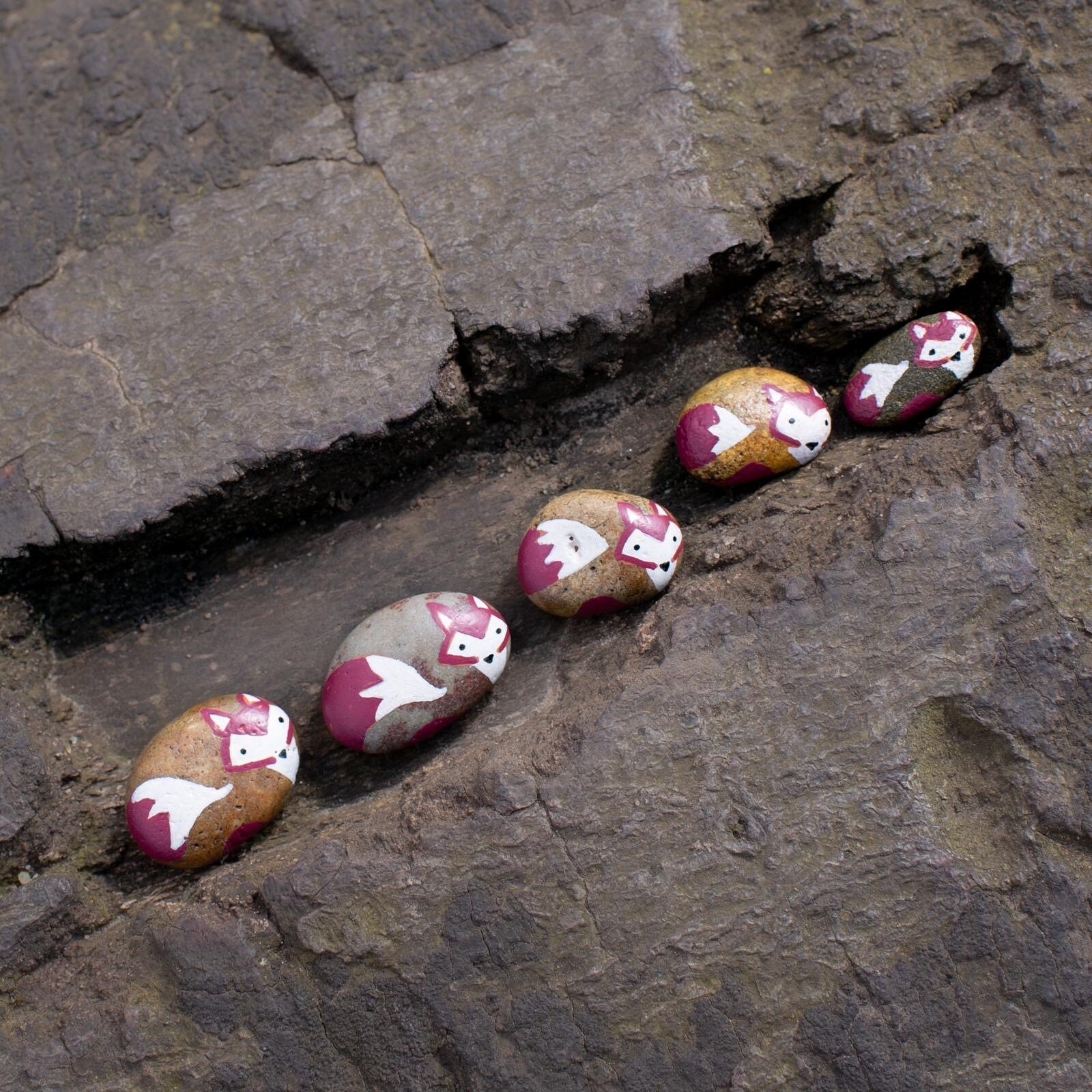 Pebble Pet Family 5 Hand-painted Pebble Animals/gift-boxed/customisable ...