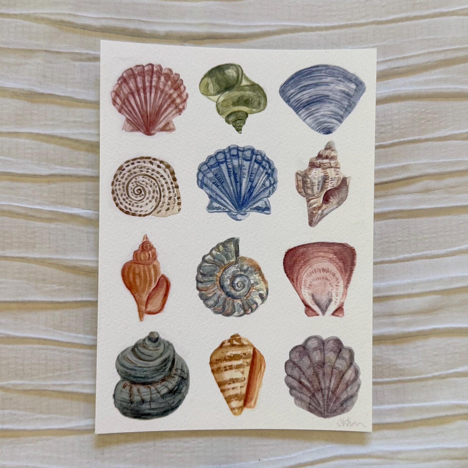 Seashell Watercolor Art Print – 5x7 Coastal Decor - Etsy