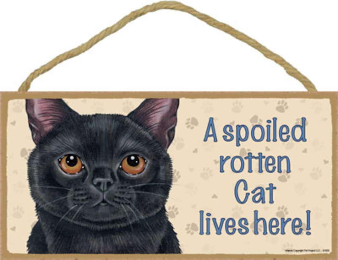 A Spoiled Rotten Cat Lives Here! Black Cat Cute Wood Hanging Sign With ...
