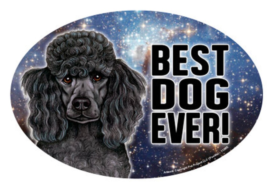 Poodle (black) Best Dog Ever! Galaxy Design Oval Dog Magnet Car Fridge ...