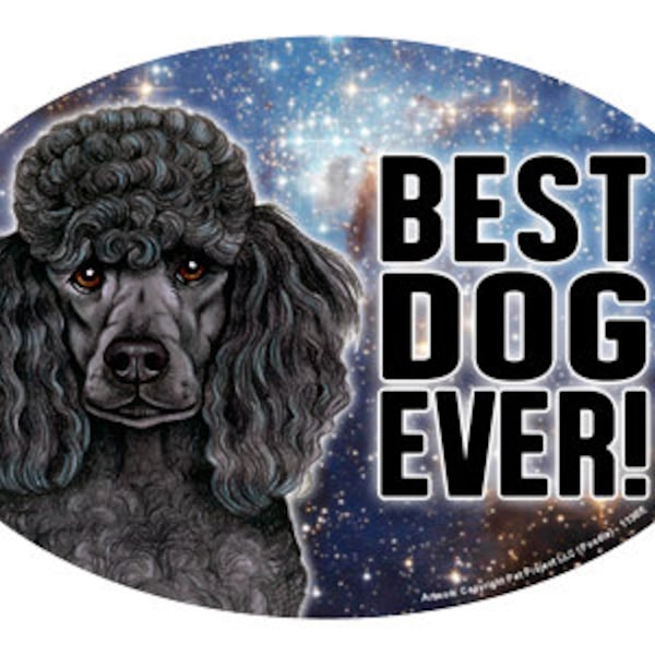 Poodle Magnet - Etsy