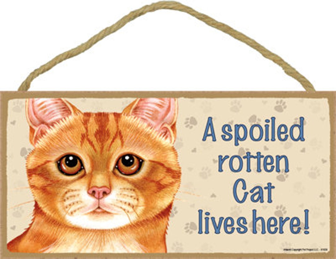 A Spoiled Rotten Cat Lives Here! Orange Tabby Wood Hanging Sign With ...