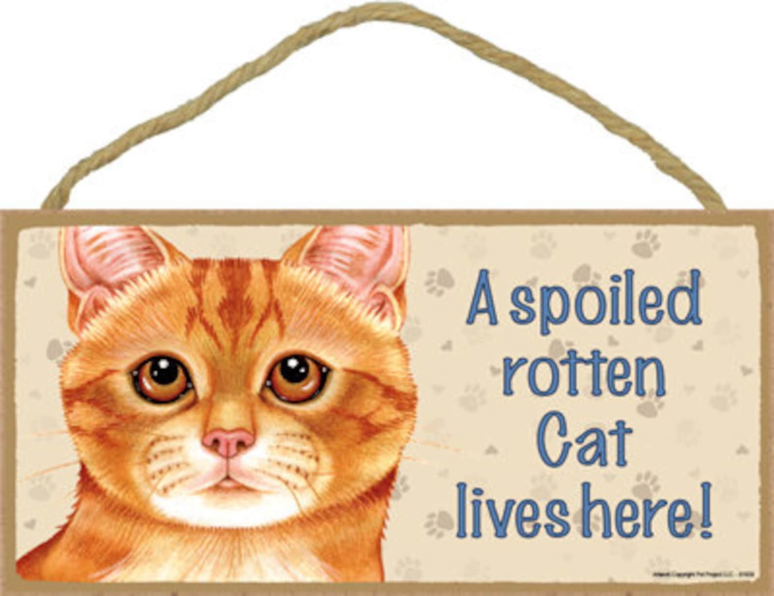 A Spoiled Rotten Cat Lives Here! Orange Tabby Wood Hanging Sign With ...