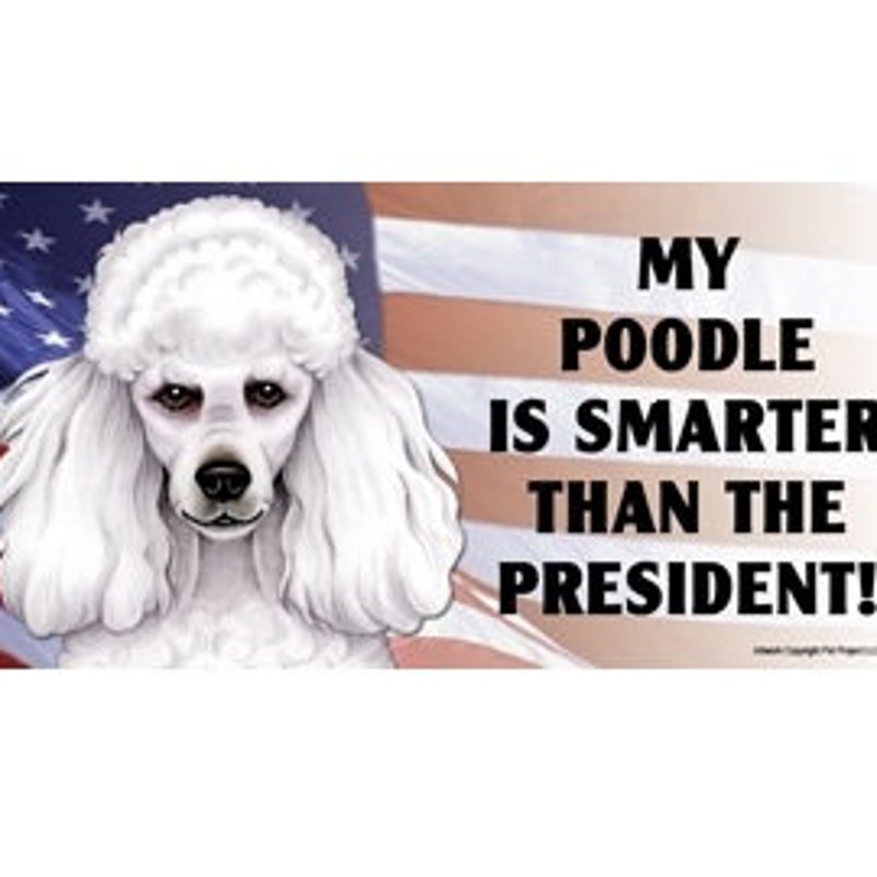 Poodle Magnet - Etsy