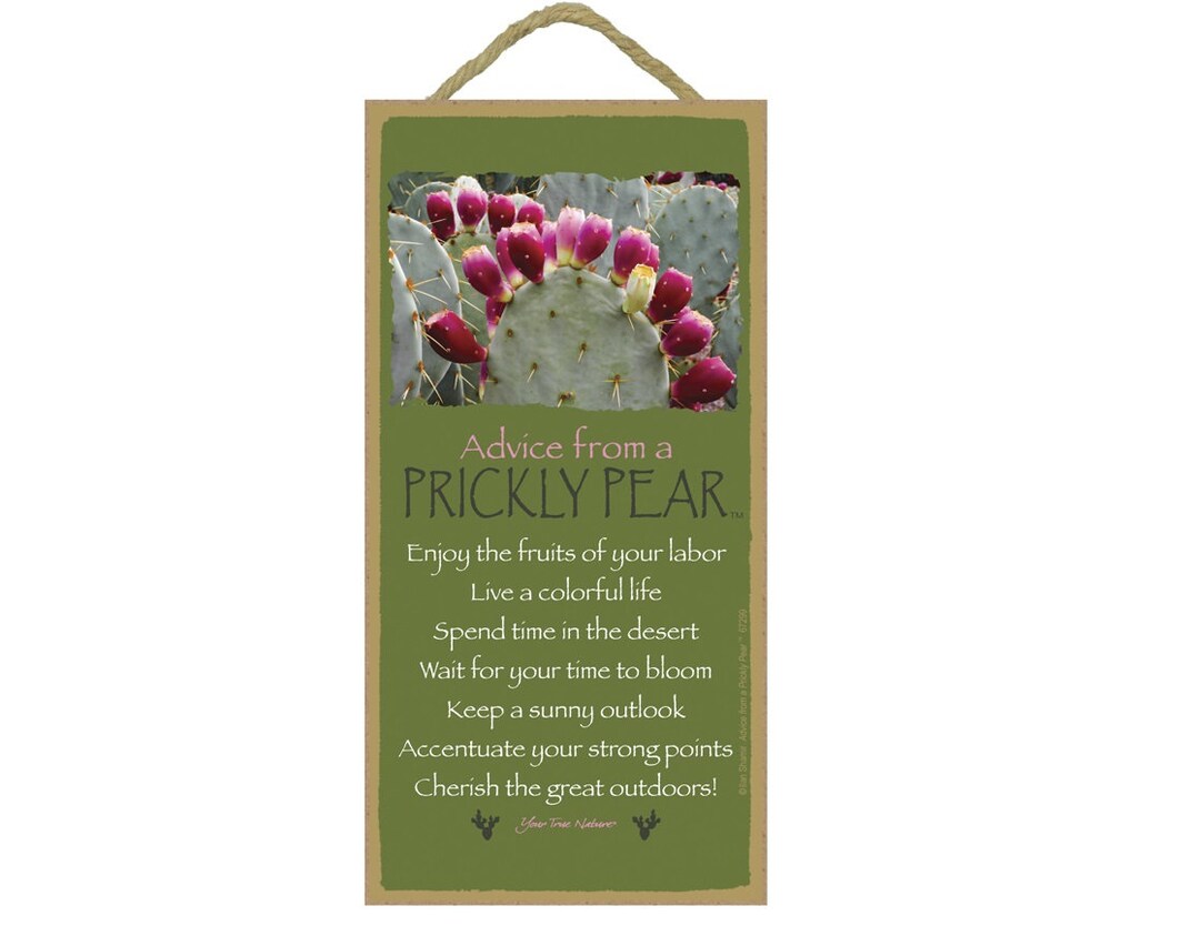 Advice From a Prickly Pear Live a Colorful Life Keep a Sunny Outlook ...