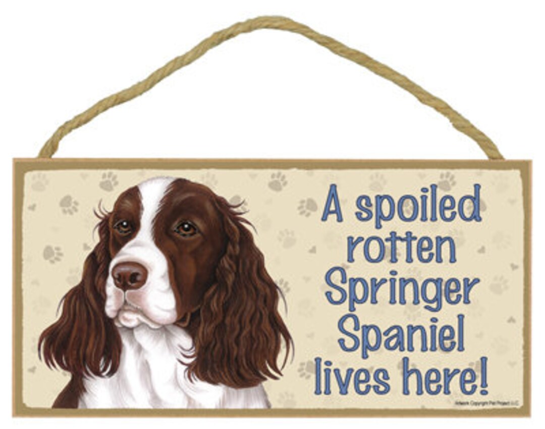 A Spoiled Rotten Springer Spaniel Lives Here! Made in USA Cute Wood ...