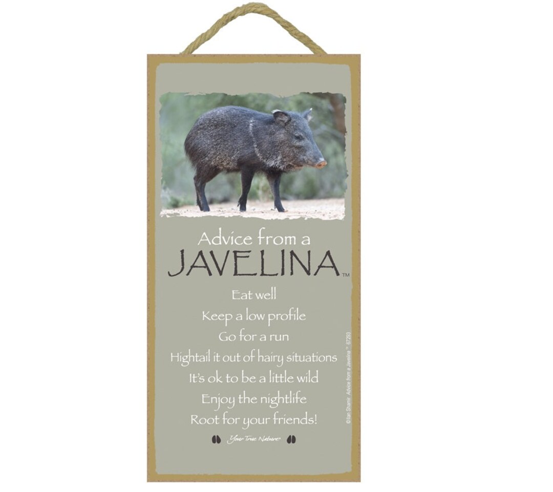 Advice From a Javelina Eat Well It's Ok to Be a Little Wild Root for ...