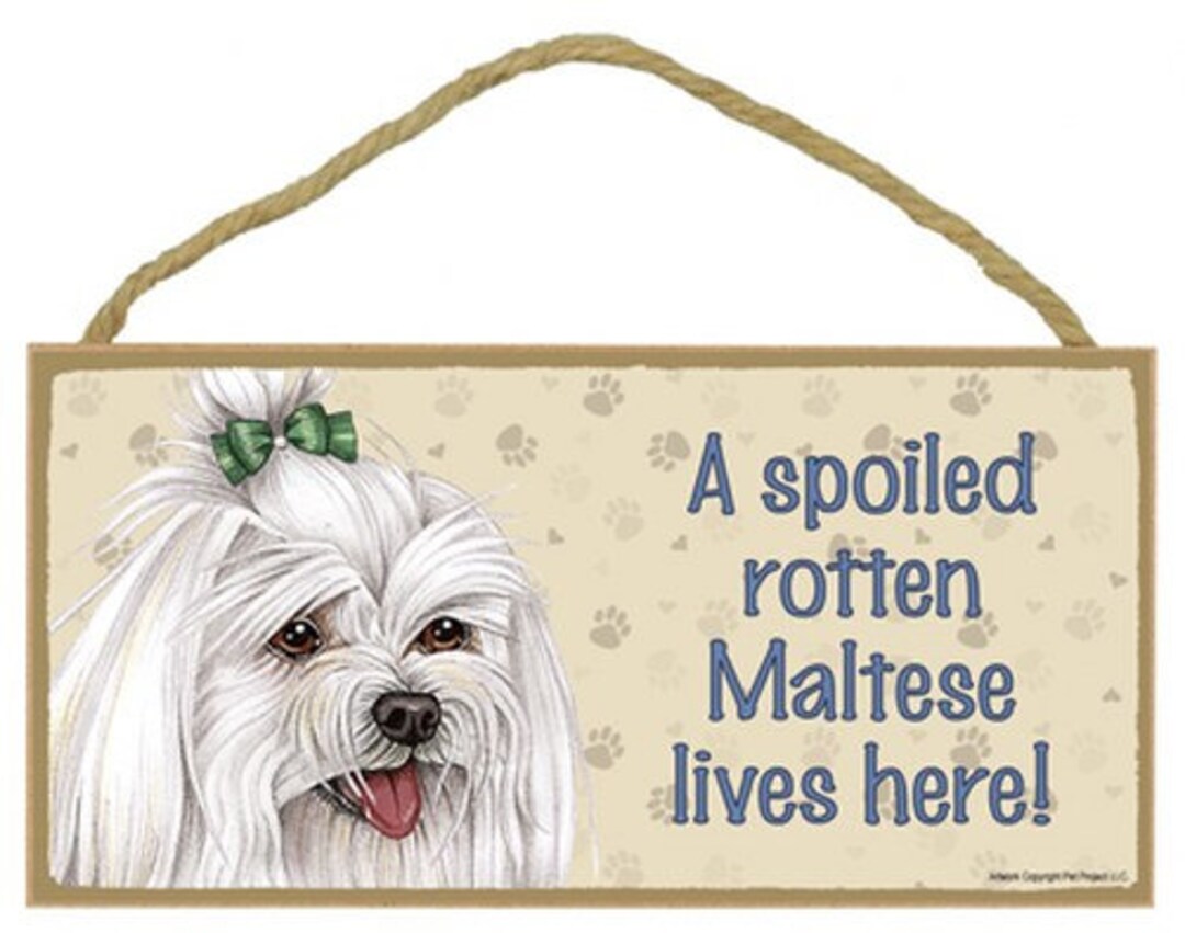 A Spoiled Rotten Maltese (with Bow) Lives Here! Made in the USA Wood ...