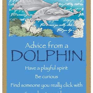 Advice From a Dolphin Have a Playful Spirt Be Curious Jump for Joy Find ...