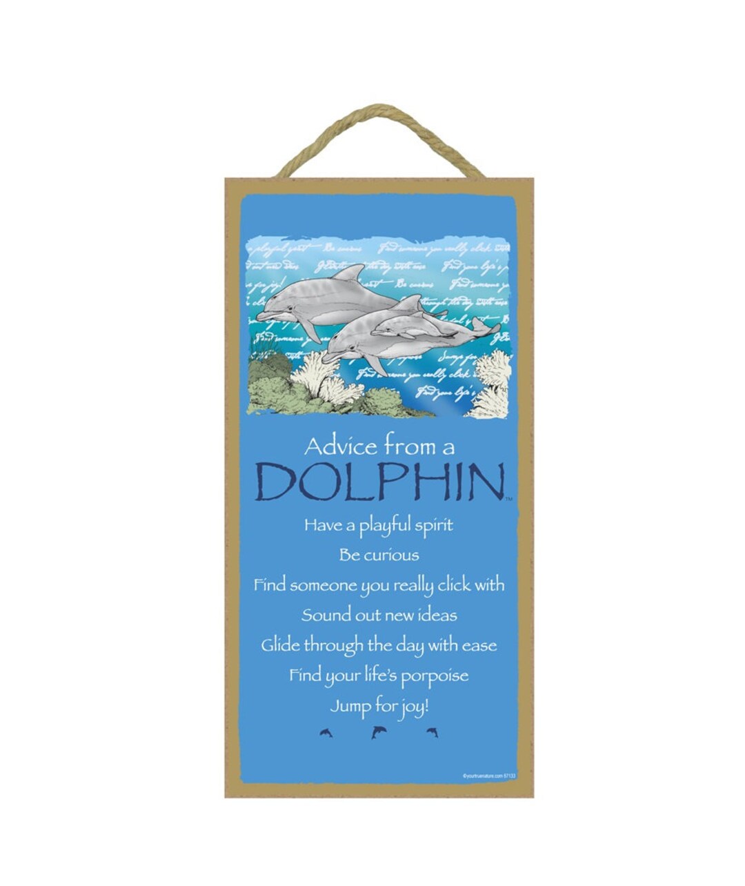 Advice From a Dolphin Have a Playful Spirt Be Curious Jump for Joy Find ...