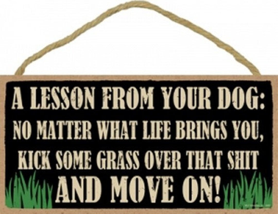A Lesson From Your Dog No Matter What Life Brings You Kick Some Grass ...