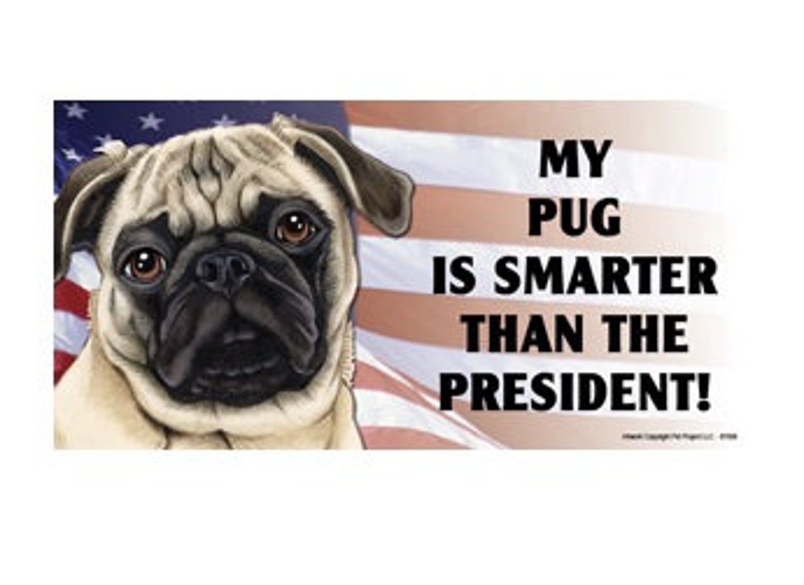 My Pug fawn is Smarter Than the President Magnet Car Fridge | Etsy