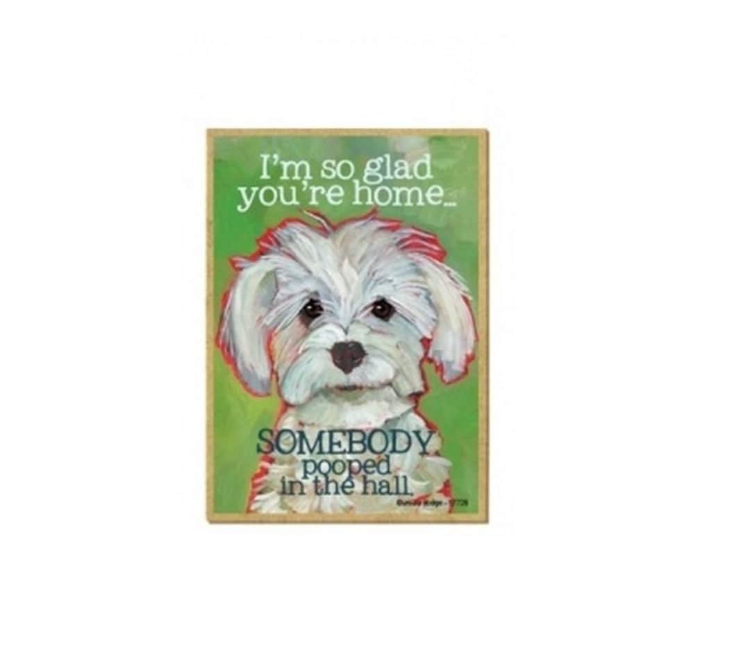 I'm so Glad You're Home Somebody Pooped in the Hall. Cute Funny Wood ...