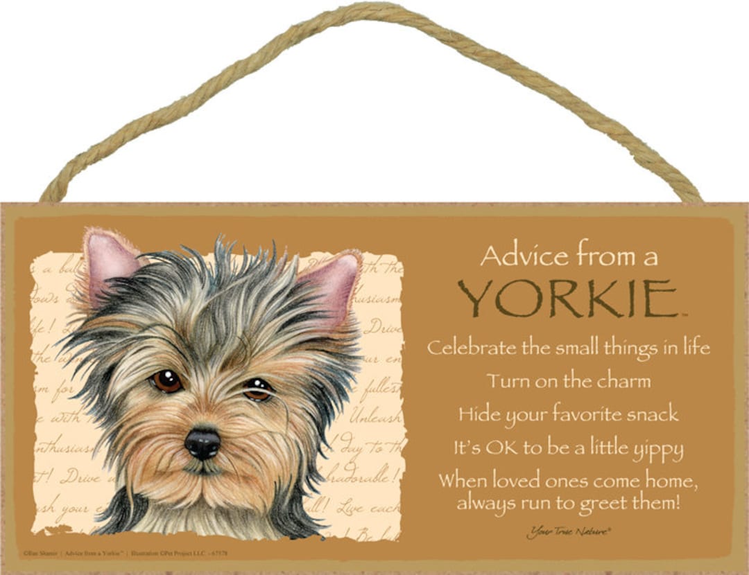 Advice From a Yorkie Celebrate the Small Things in Life Turn on the ...