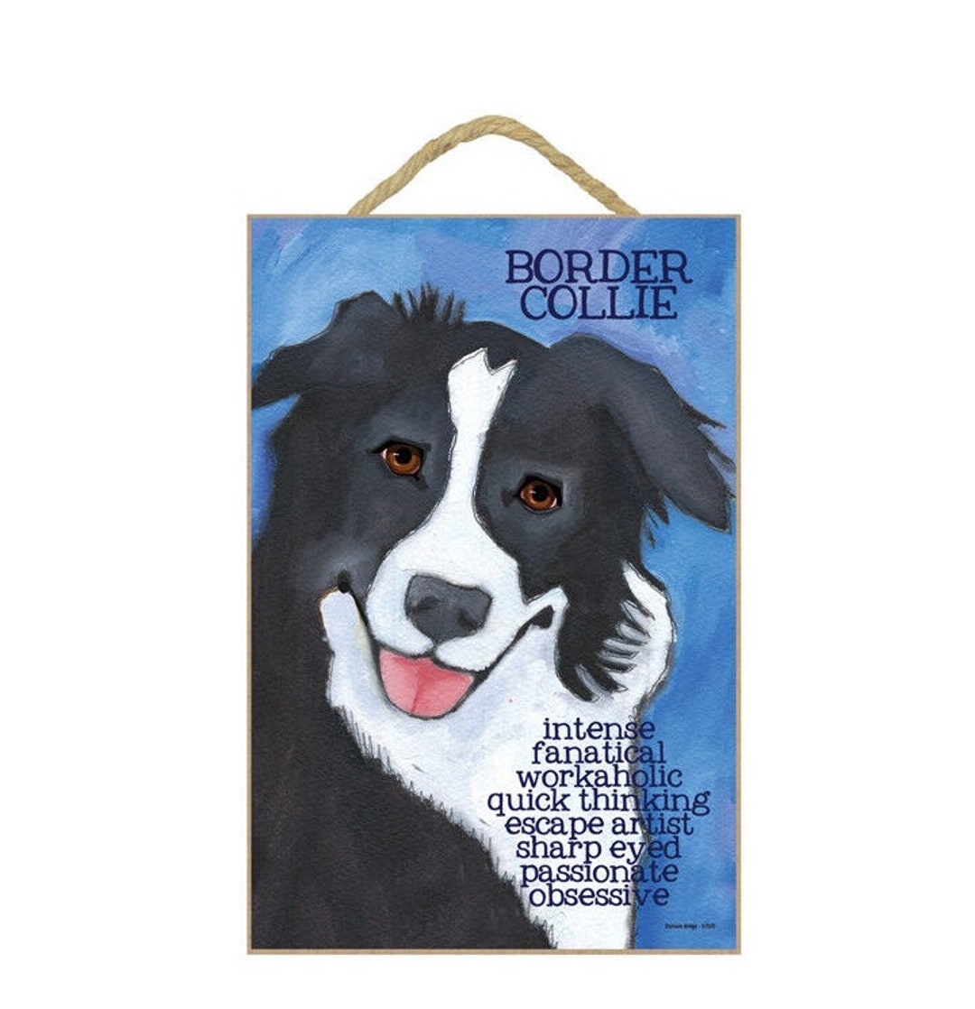 Border Collie Intense Passionate Obsessive... Nice Colorful Hanging ...