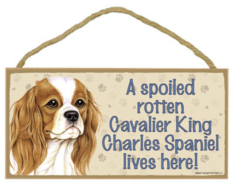 Spoiled Rotten Cavalier King Charles Spaniel Lives Here! Cute Made in ...