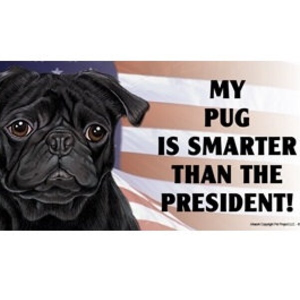 Pug Magnet - Etsy