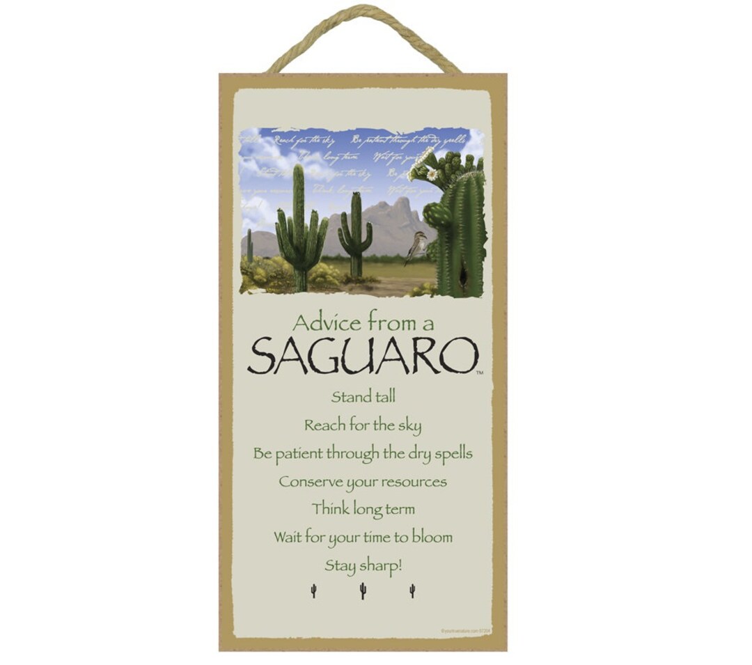 Advice From a Saguaro Stand Tall Reach for the Sky Think Long Term Stay ...
