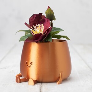 3D Printed Happy Face Planter, Eco-friendly Bio-based Material, Cute ...