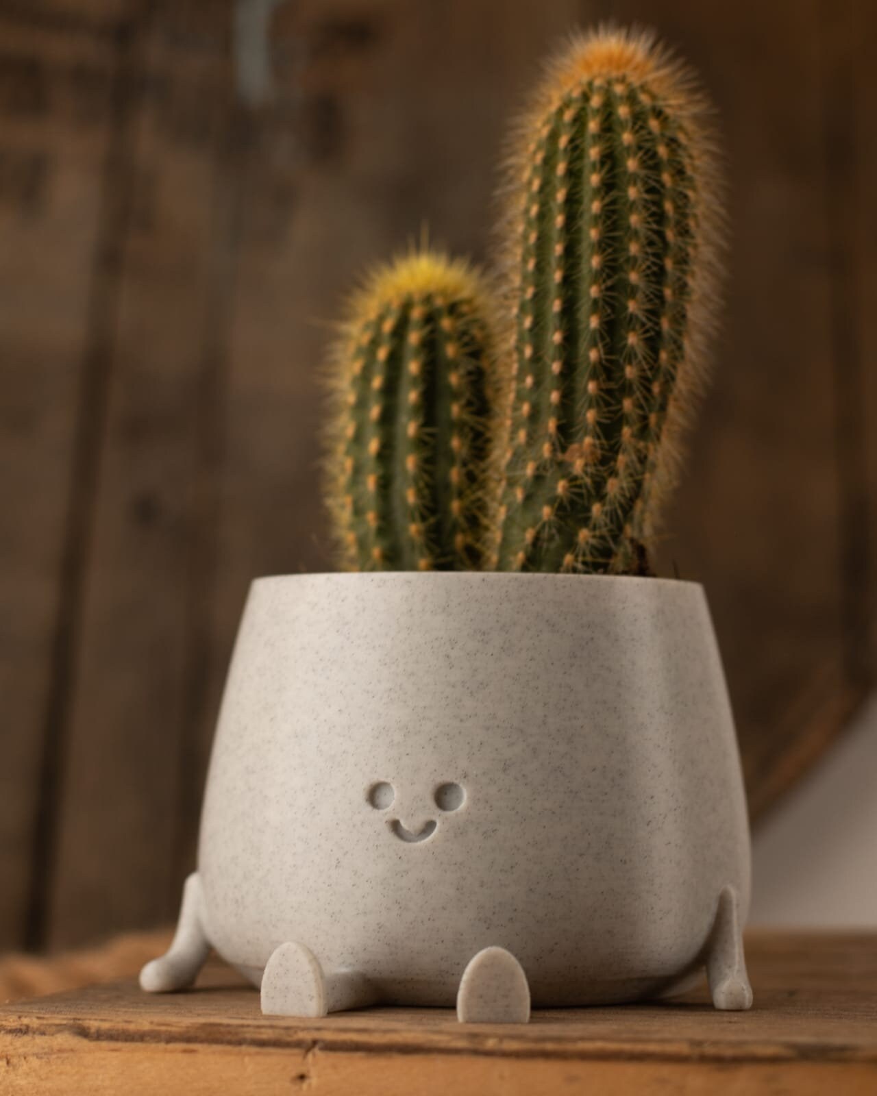 3D Printed Happy Face Planter Eco-friendly Bio-based | Etsy