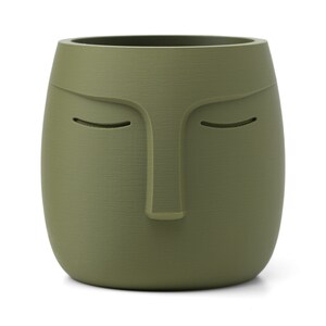 3D Printed Nordic Face Planter, Eco-friendly PLA Succulent Pot - Etsy
