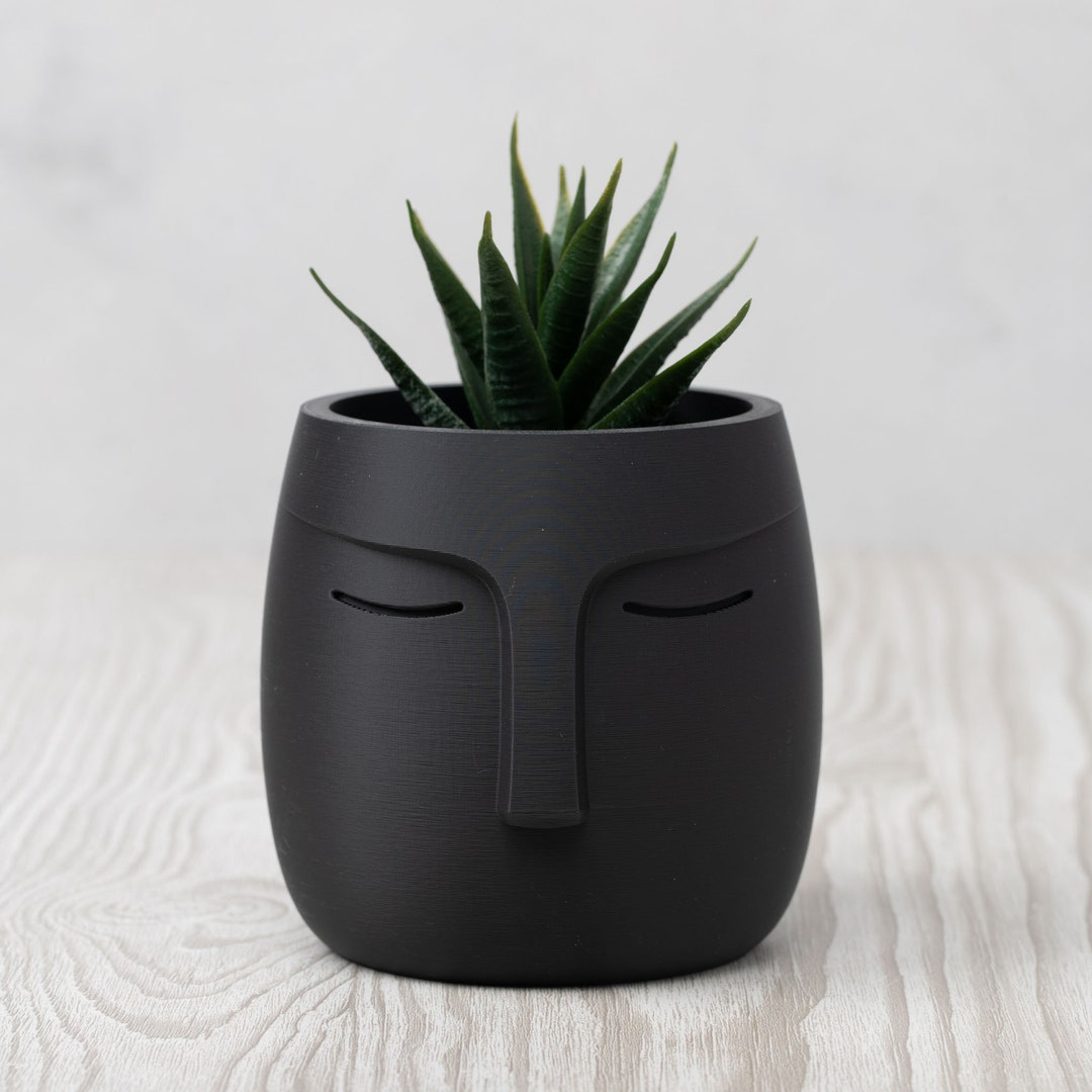 3D Printed Nordic Face Planter, Bio-based Succulent Pot - Etsy