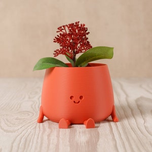 3D Printed Happy Face Planter, Eco-friendly Bio-based Material, Cute ...