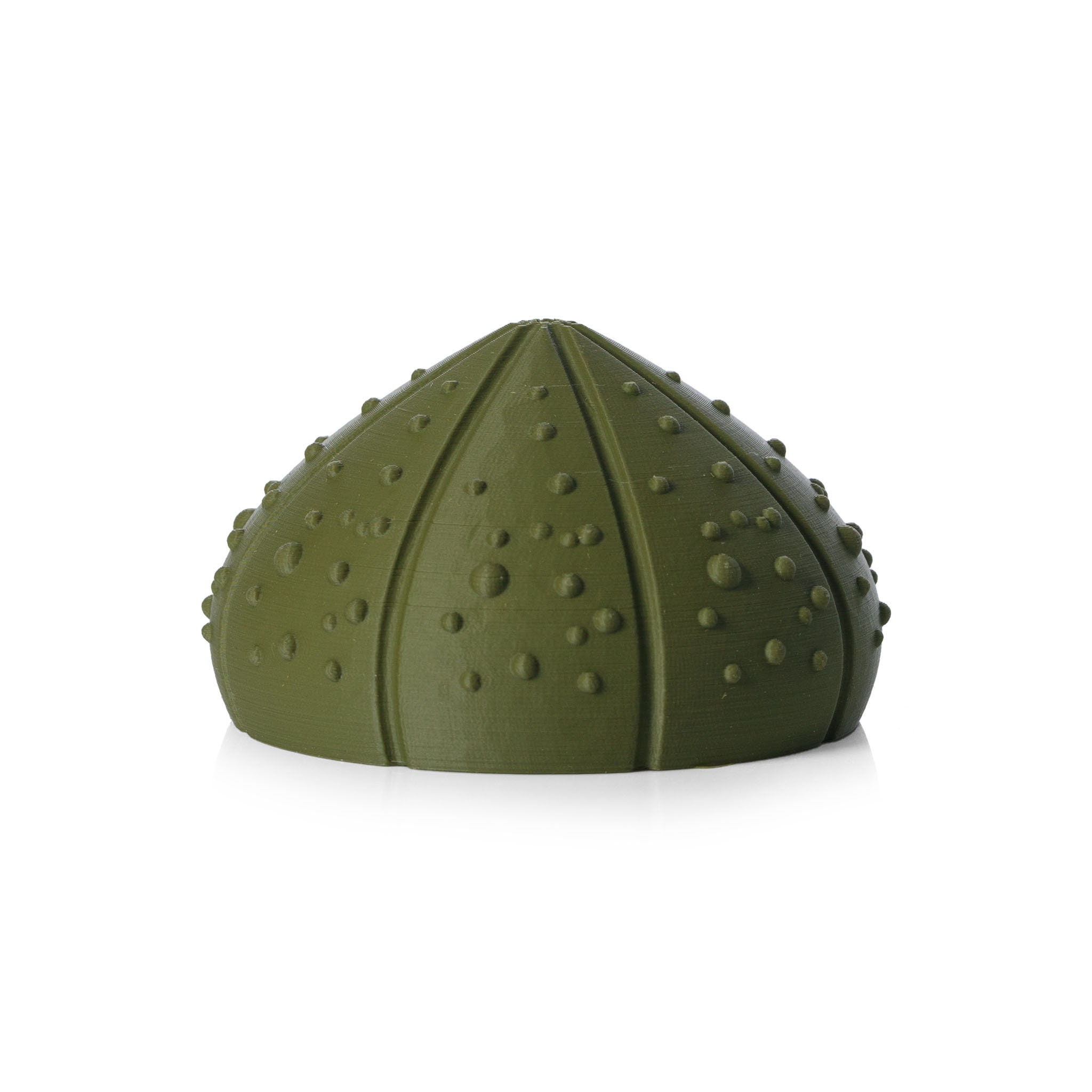 3D Printed Matte Green Sea Shell Air Plant Holders Air Plant - Etsy